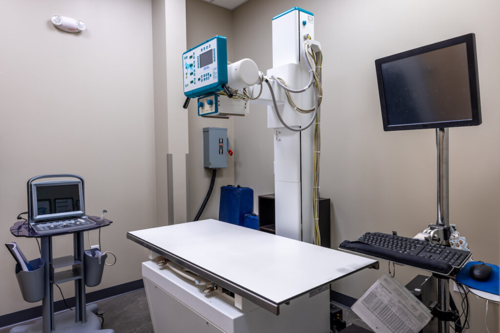 Seven Fields Veterinary Hospital | Veterinary Services in Seven Fields