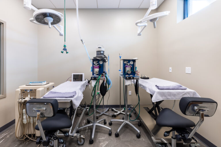 Seven Fields Veterinary Hospital | Veterinary Services in Seven Fields